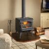 Lopi Answer NexGen-Fyre™ Wood Stove | Evergreen Home & Hearth